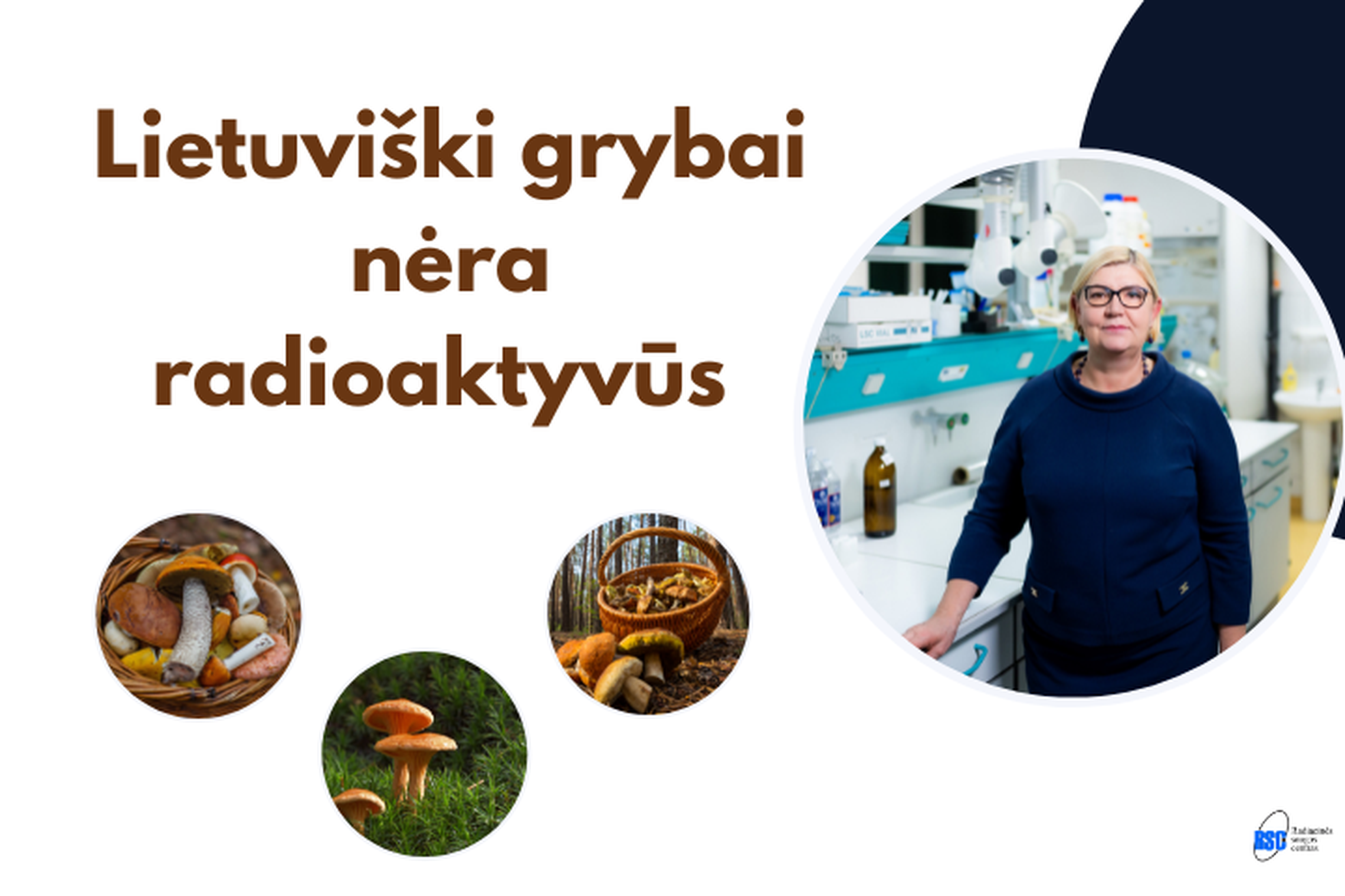Lietuviški grybai nėra radioaktyvūs - Radiacinės saugos centras